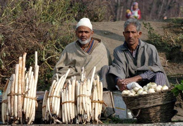 Kashmiri Nadru (Lotus Stem): Nutritional and Medicinal Value - Kashmir ...